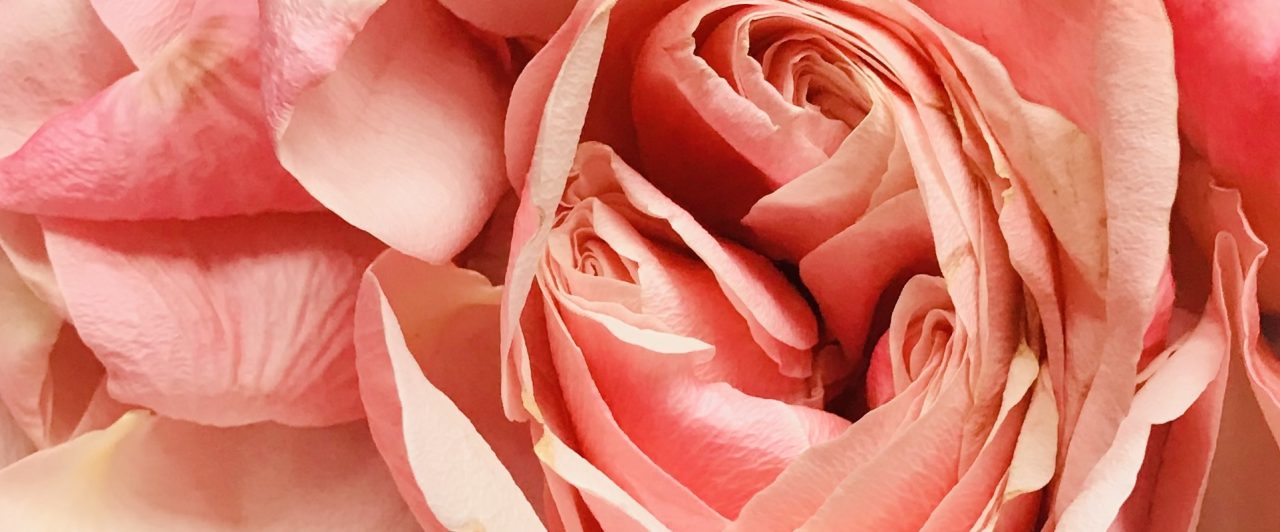 Review: Bruno Joey Scooter Lift System for Van | Jenny Angus - My MS ...